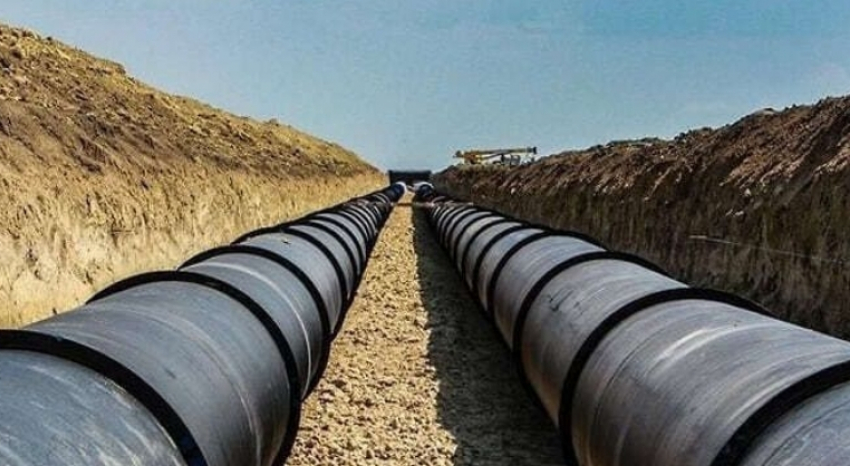 Строительный подрядчик выбрал сохранить природу под Таганрогом ...